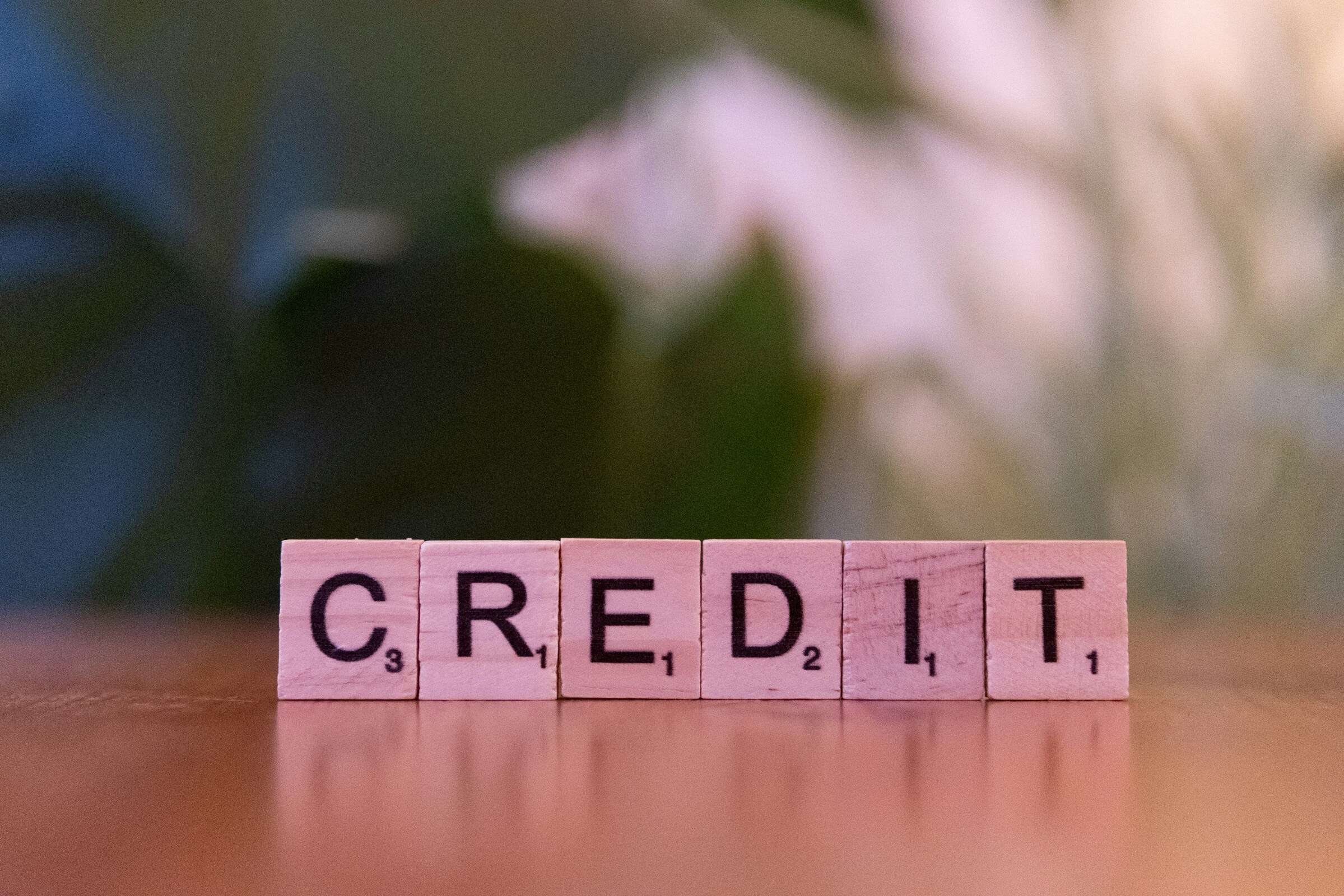 Building Business Credit in Canada: A Step-by-Step Guide - Bizfund